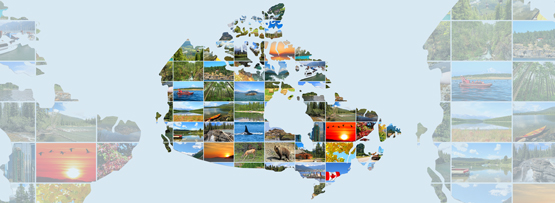 Census of Environment