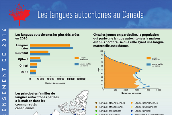 Statistiques sur les langues