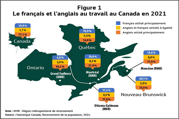 Statistiques sur les langues