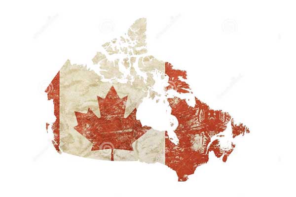 Languages statistics