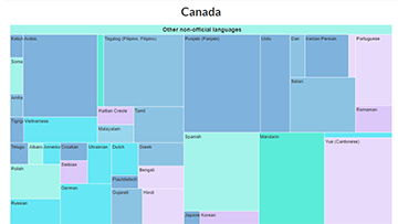 Languages statistics